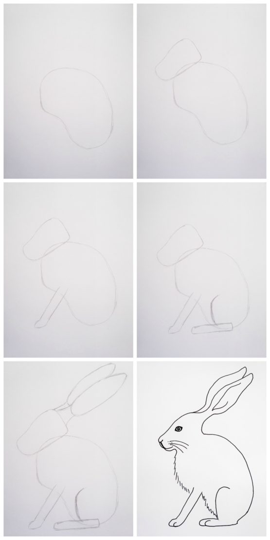 How To Draw A Hare - Birch And Button