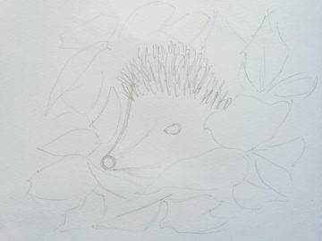 How To Draw And Colour A Hedgehog In Fallen Leaves - Birch And Button