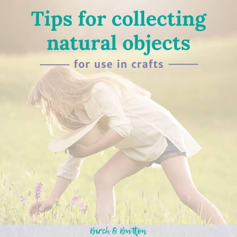 Collecting Natural Objects For Crafting [updated] - Birch And Button